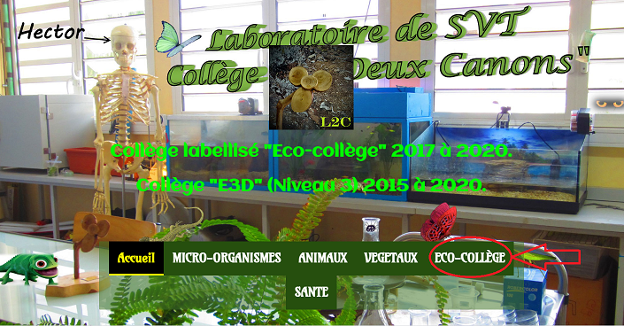 Sciences de la Vie et de la Terre | Collège Les Deux Canons