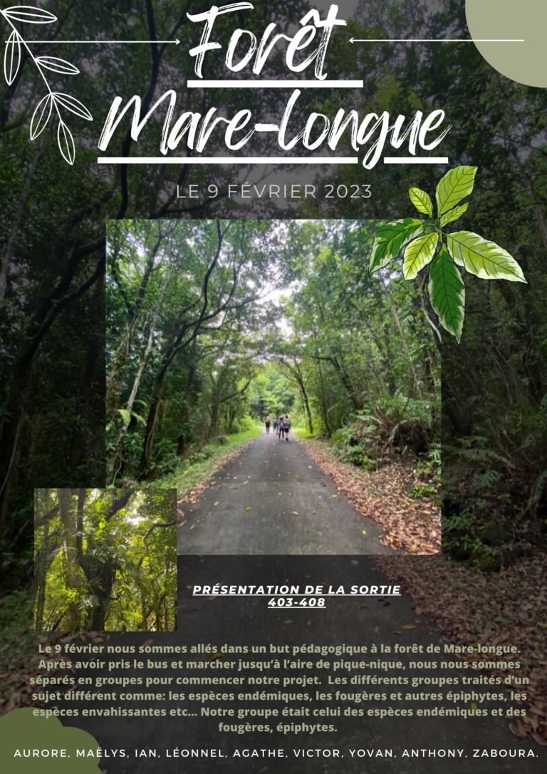 Découverte de la forêt de Mare Longue | Collège Hubert Delisle