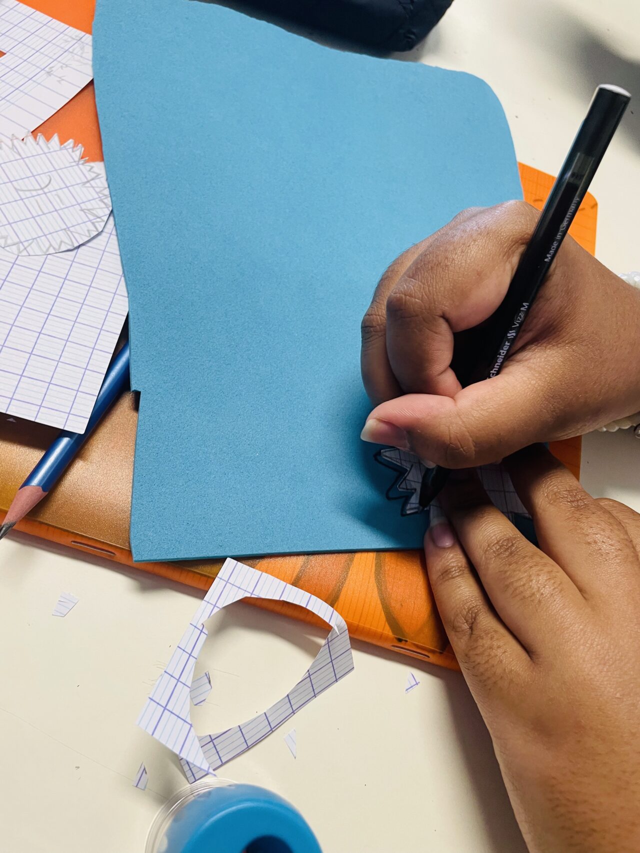 Bleuet de France 2025 – classe Défense | Collège Mille Roches