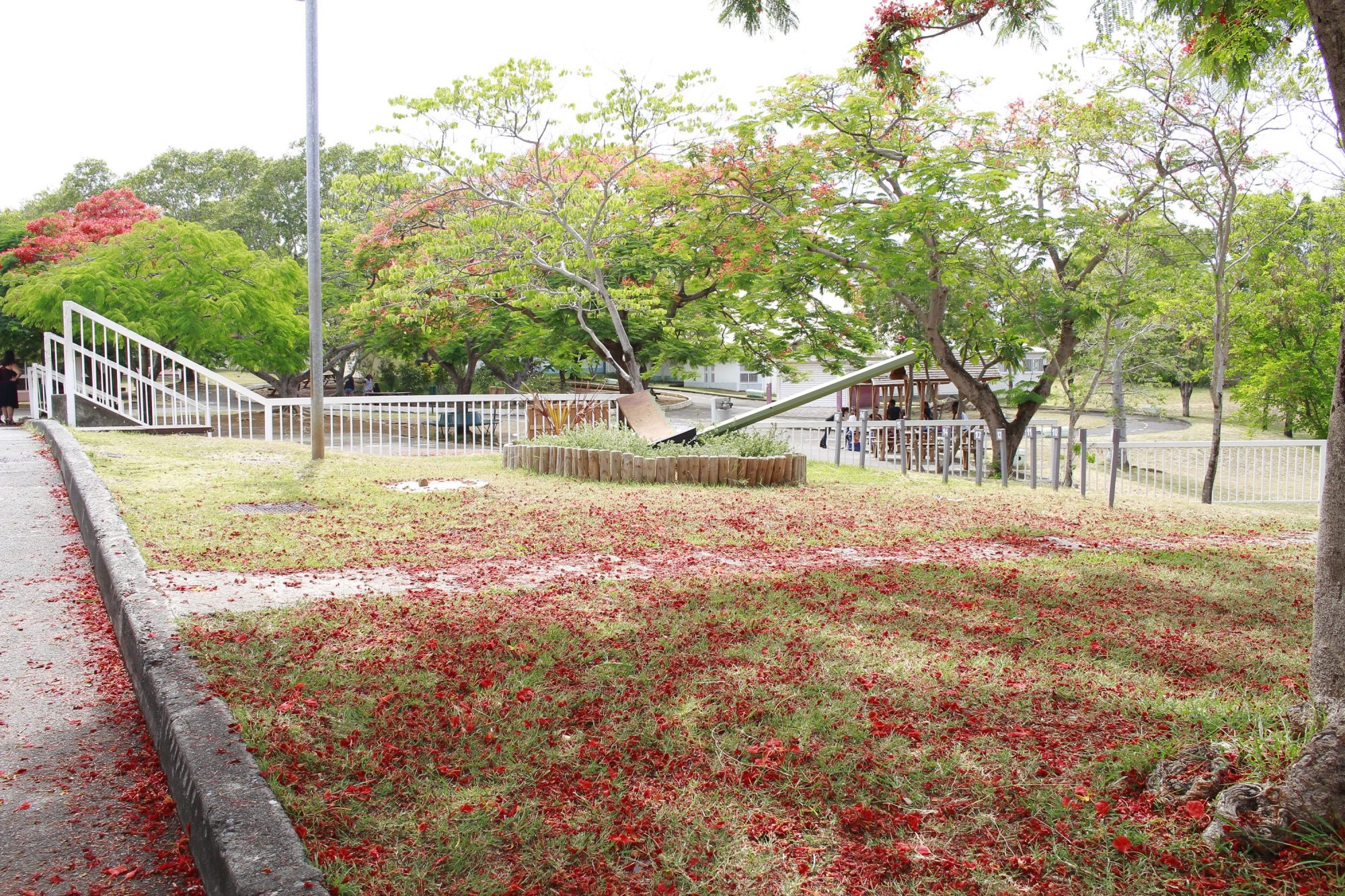 _MG_1150 – Collège Plateau Goyave
