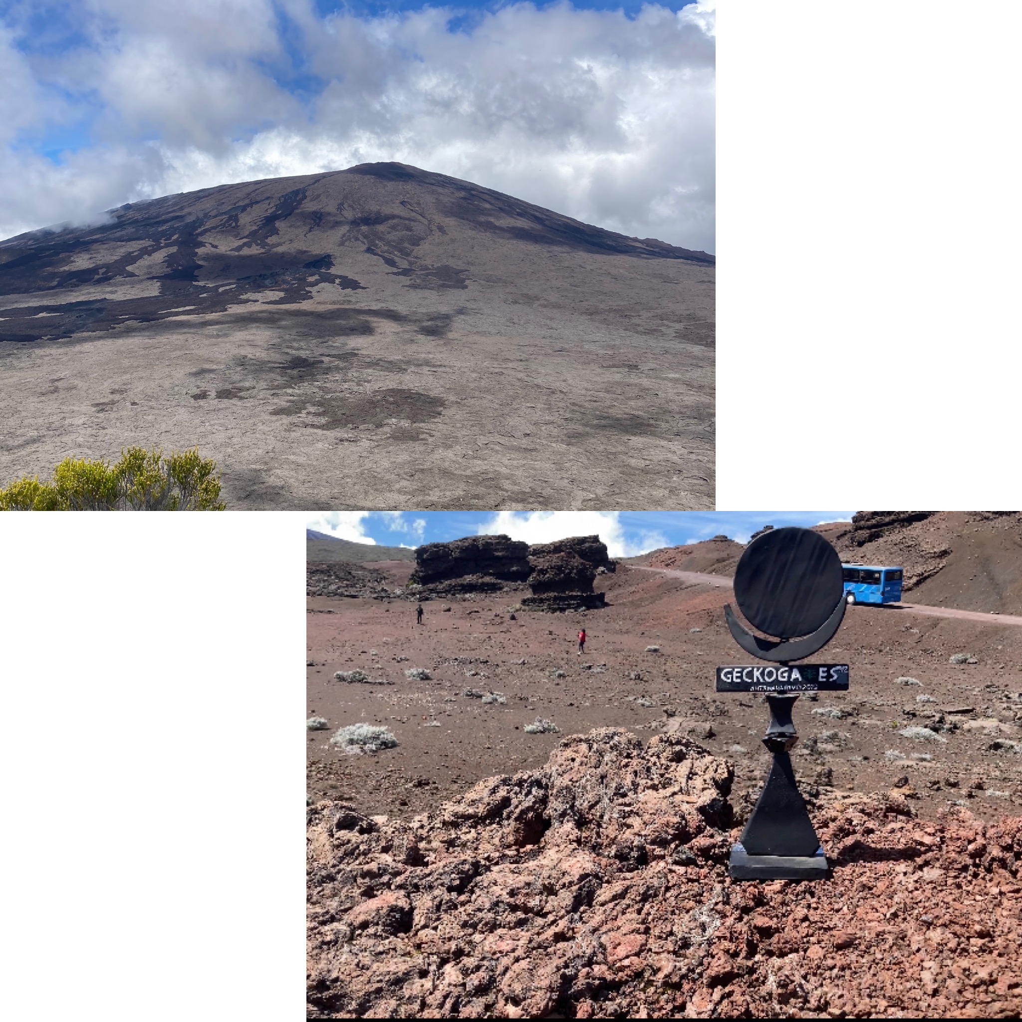 2021 – Collège Plateau Goyave