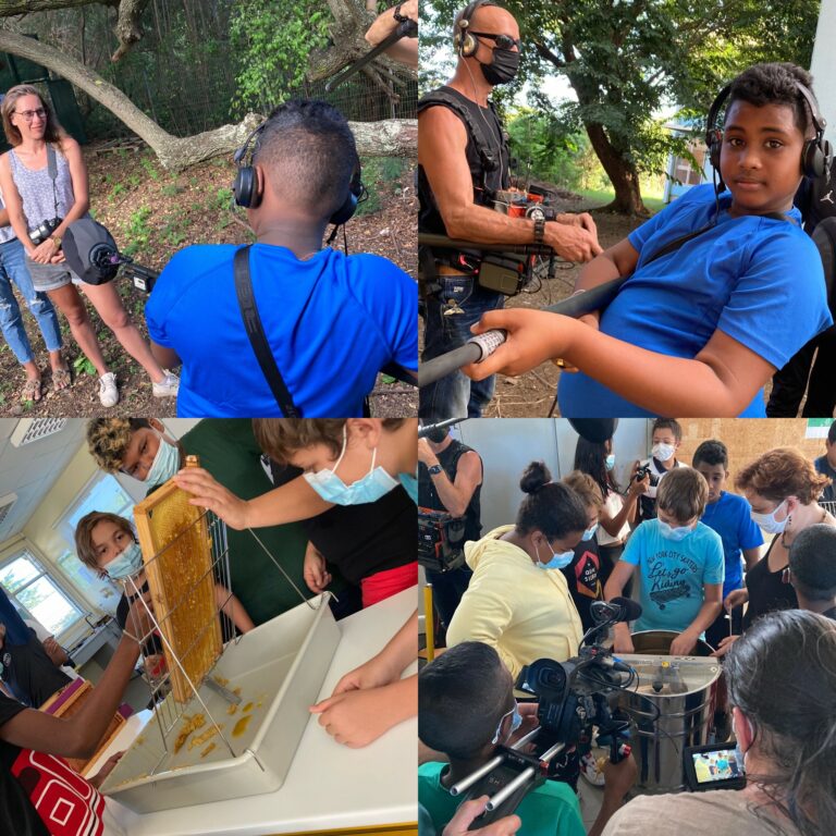 Archives | Collège Plateau Goyave