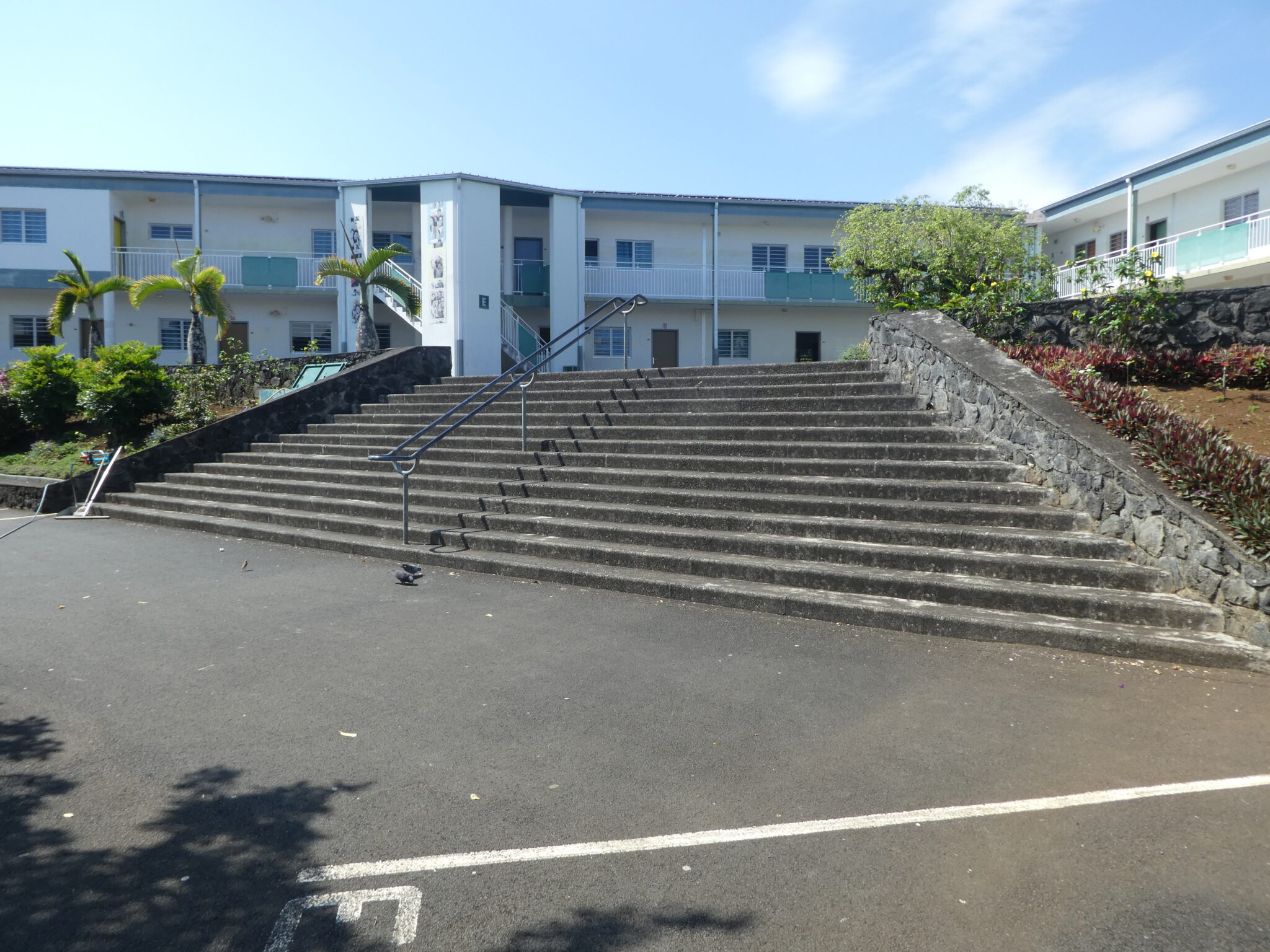 Projets 2025-2026 – College Terrain Fayard