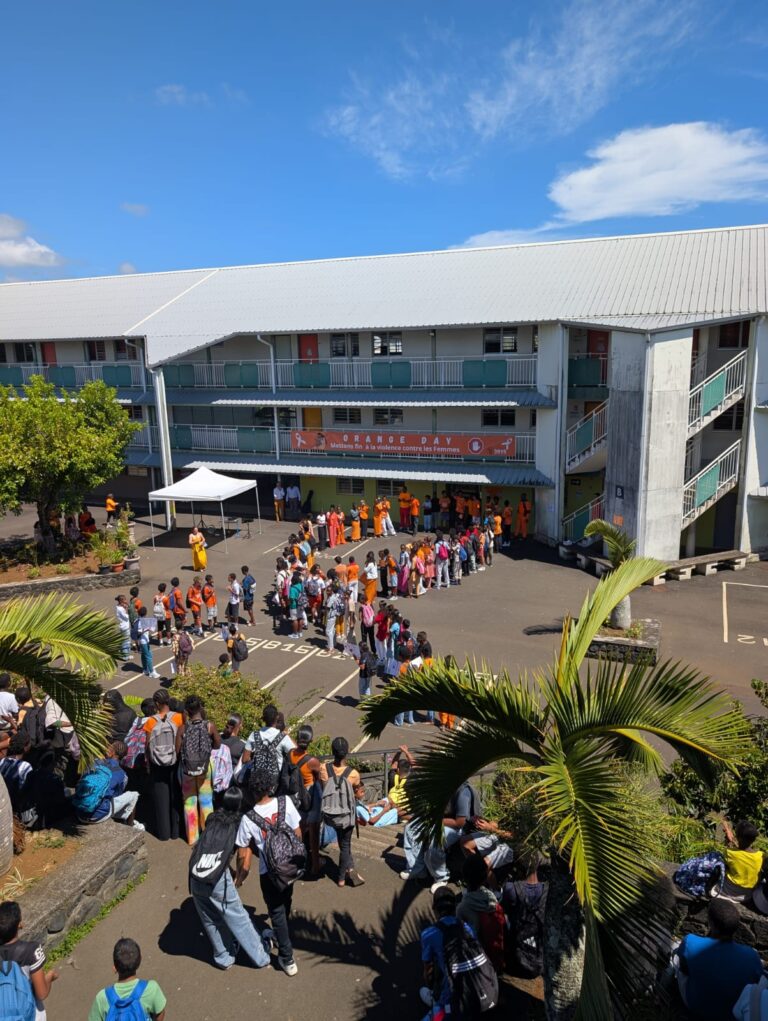 Le collège Terrain Fayard se mobilise pour l’Orange Day – Collège ...