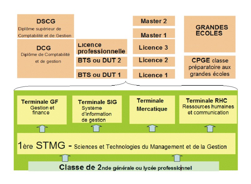 Terminale STMG : Poursuite études et métiers – Lycée Ambroise Vollard