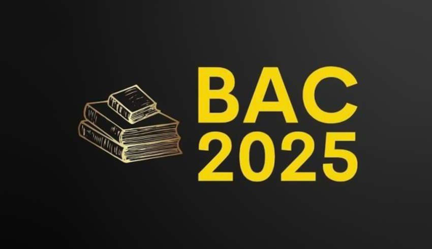 Diplôme du baccalauréat 2025 et diplôme de BTS – Lycée Ambroise Vollard