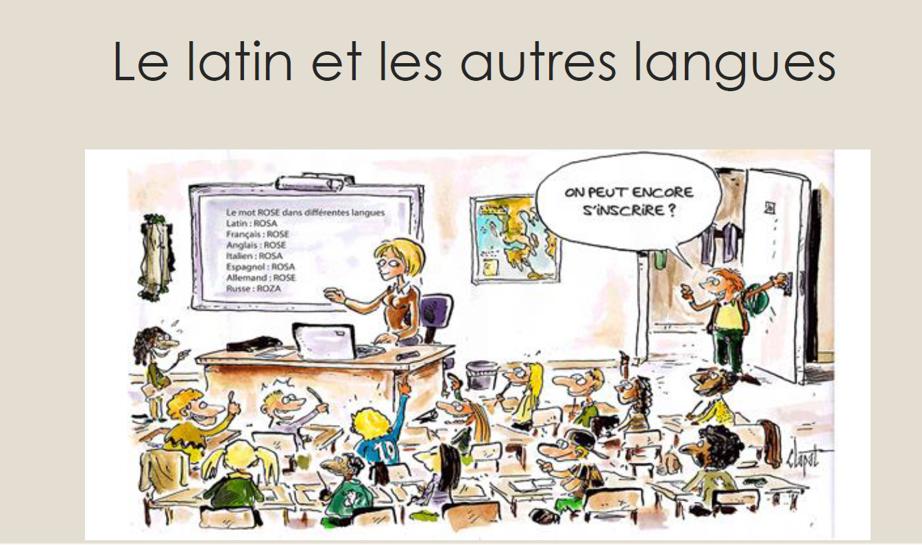 Le latin au lycée Antoine de Saint-Exupéry | Lycée Antoine de Saint-Exupéry