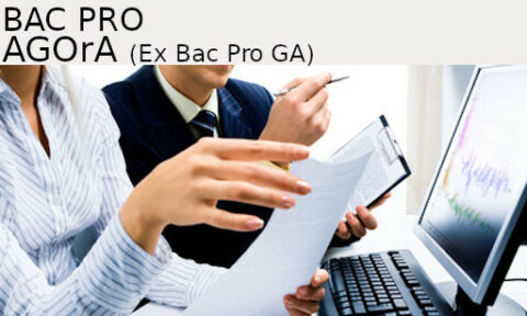 Bac Pro AGOrA | LYCEE PROFESSIONNEL JULIEN DE RONTAUNAY